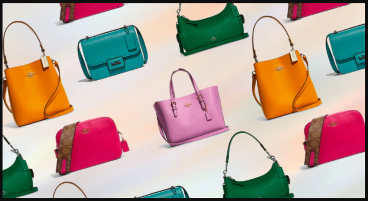 The Coach Handbag Lover and Dictionary | YOLO Luxury Consignment